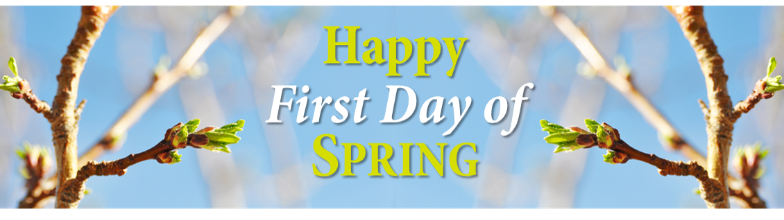 MEUW Weekly :: March 19, 2024 – News from MEUW